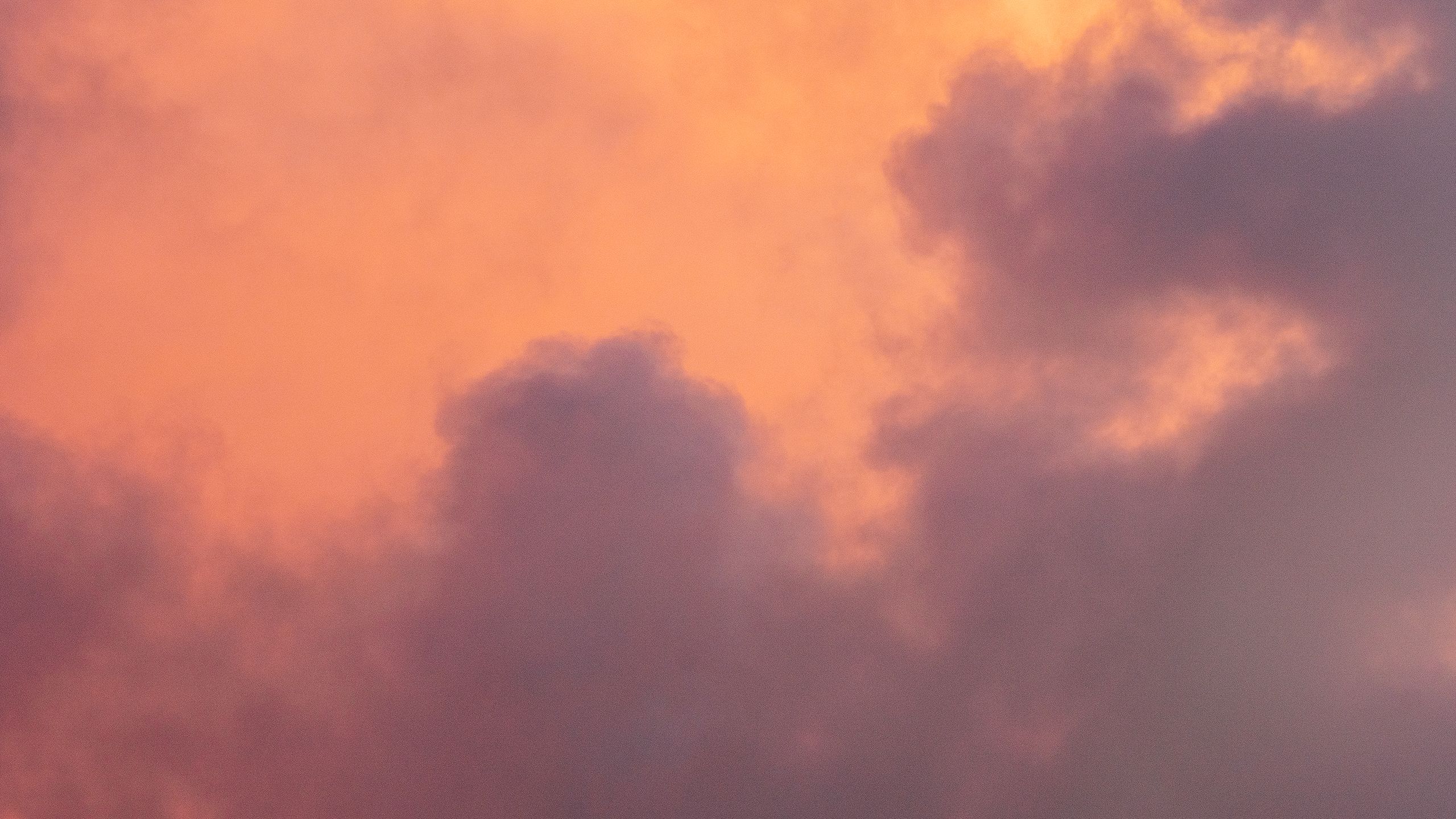 Abby Ferguson | Pocket-lint