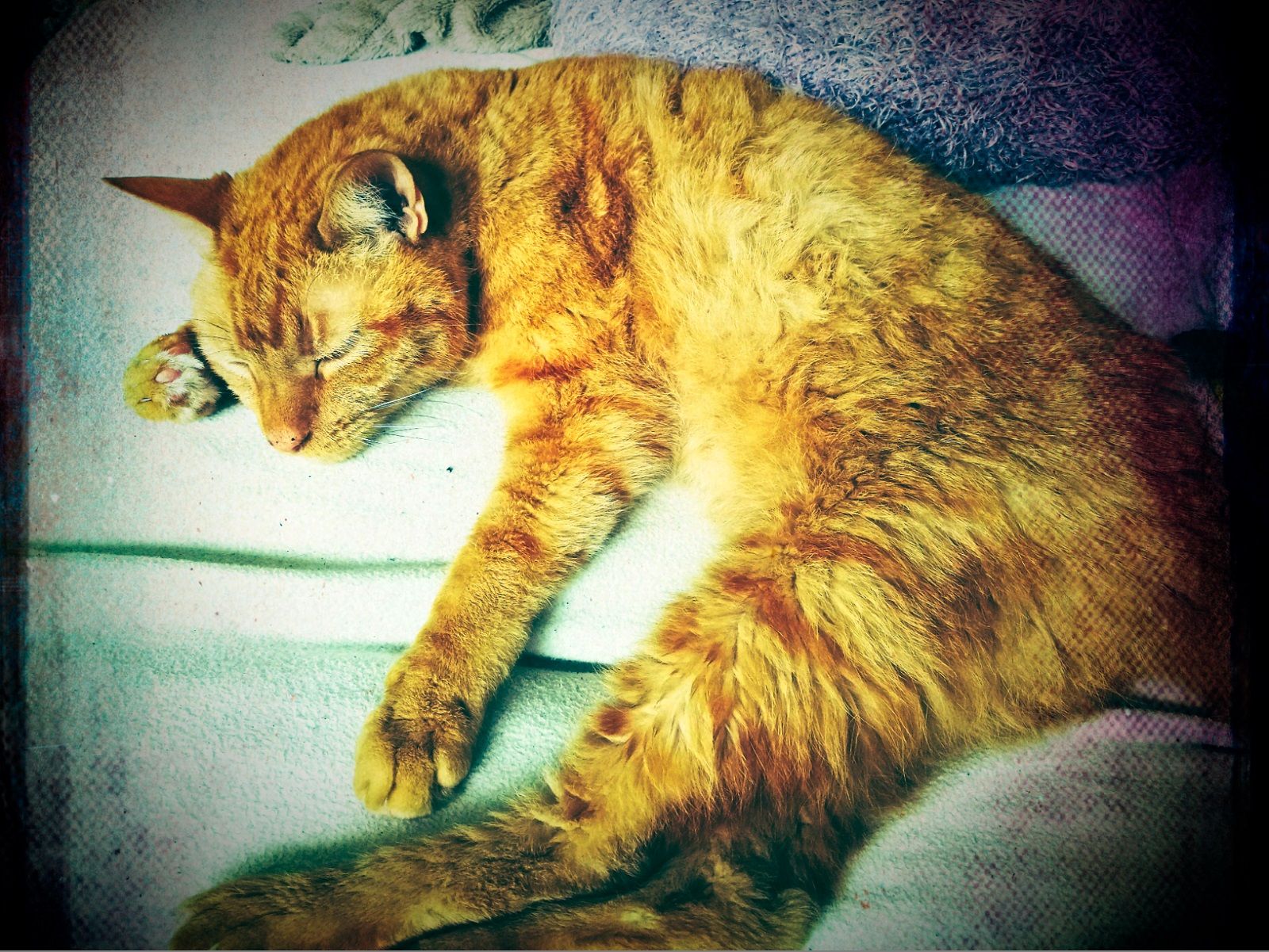 Photo editing made easy: How to remove backgrounds, unwanted objects ...