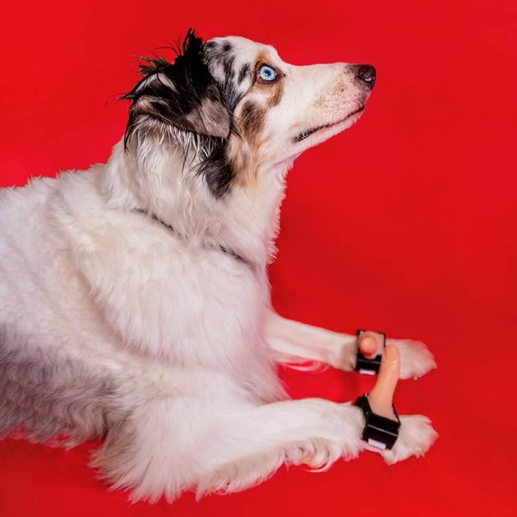 Unnecessary inventions that are hilariously useless