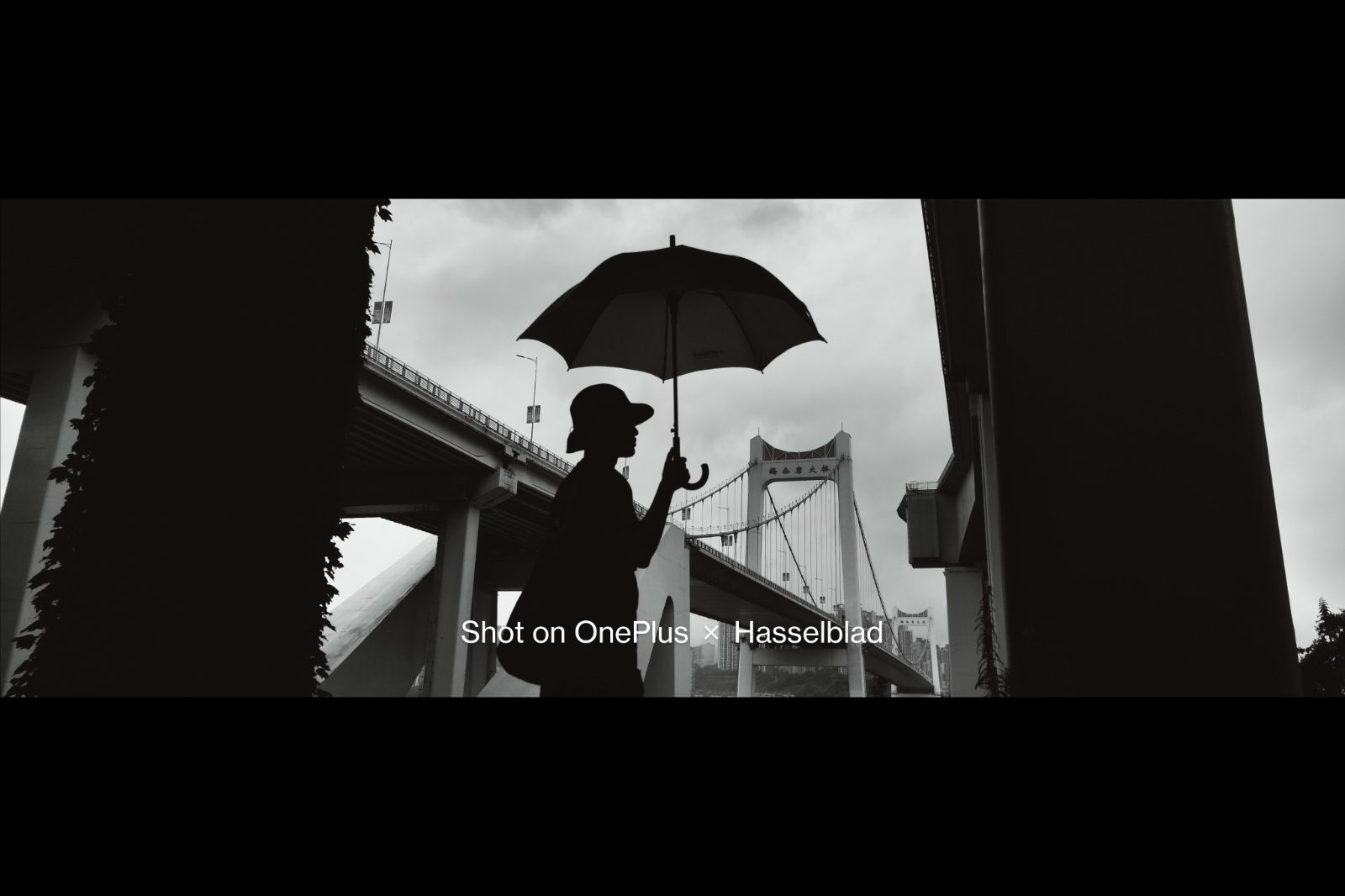 OnePlus 9 software update brings fun Hasselblad XPan panoramic mode