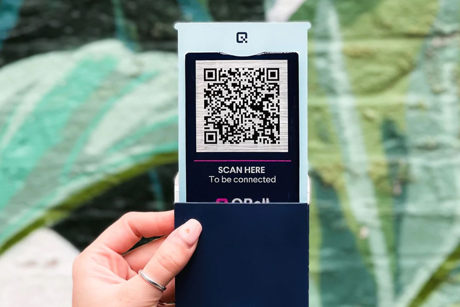 Why you need to know about QBell
