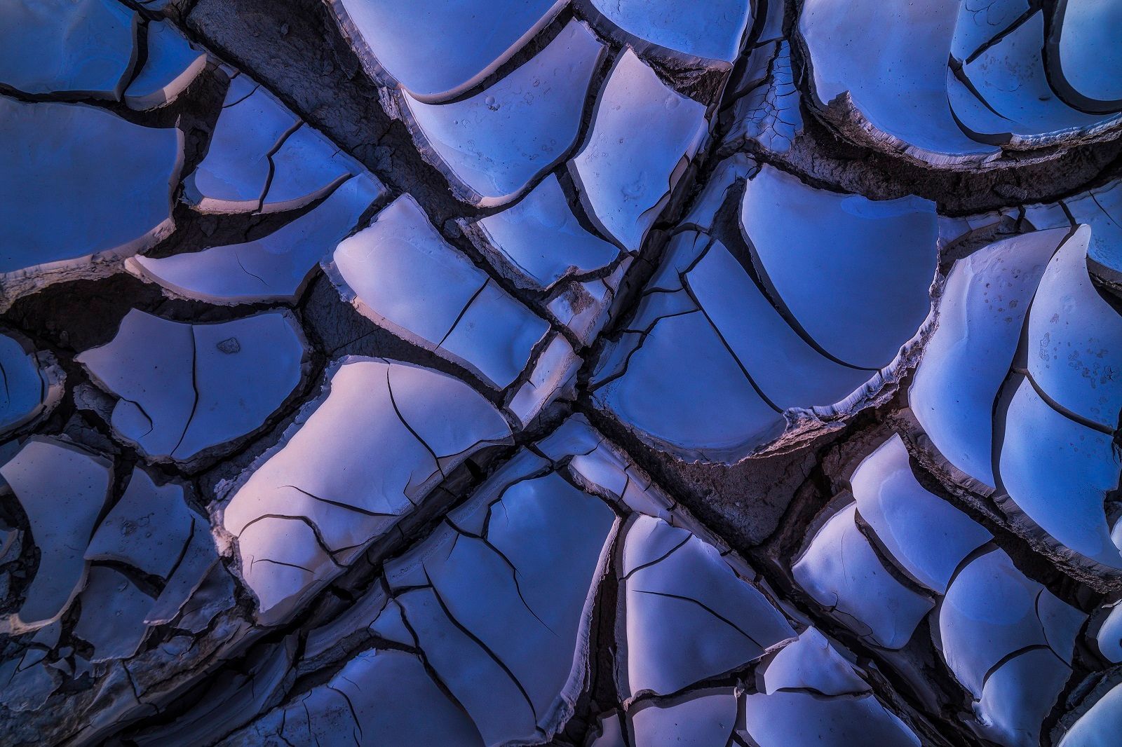 Incredible photos from the Close-Up Photographer of the Year 2022