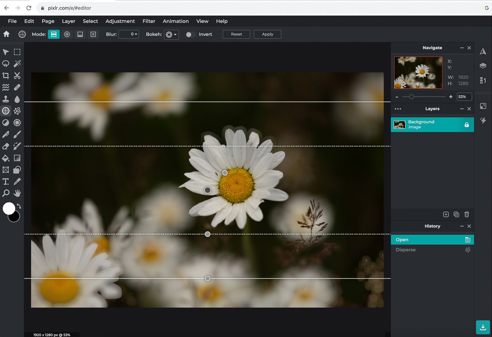 Top 4 Free Photoshop Alternatives A Guide To Adobe's Photoshop
