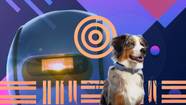 What Is Rabbit R1 Does It Use ChatGPT And How Does It Work What Is Rabbit R1 Does It Use ChatGPT And How Does It Work
