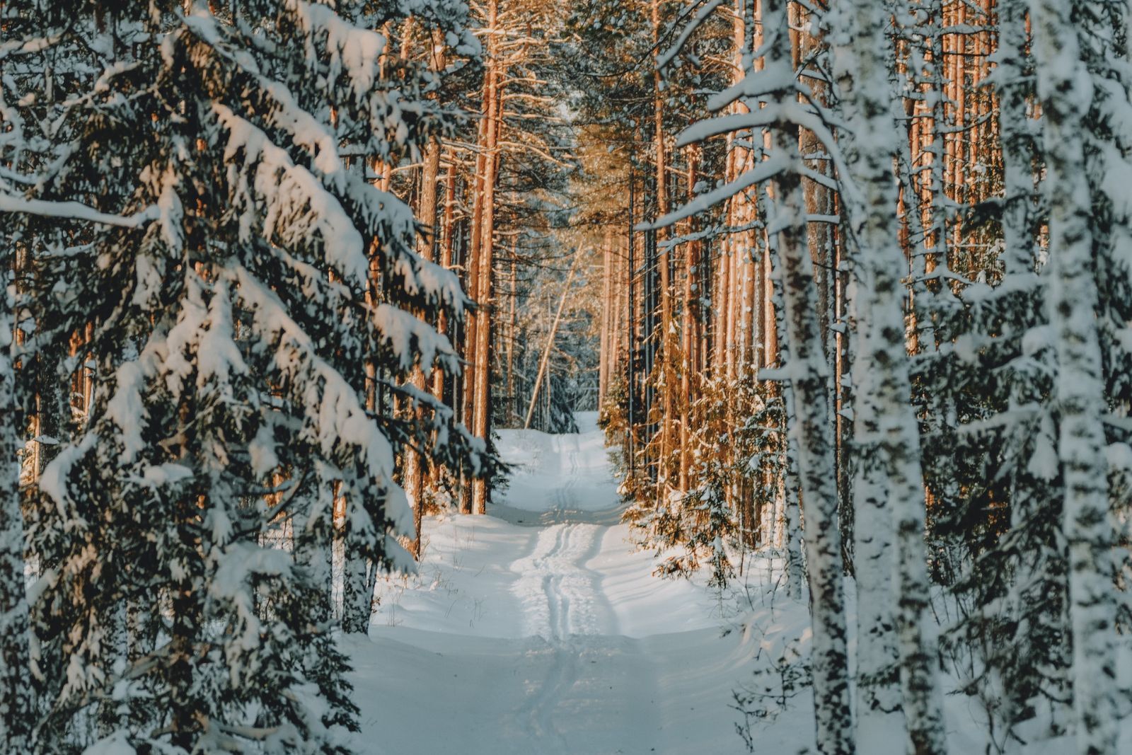 Winter Wallpapers For Ipad