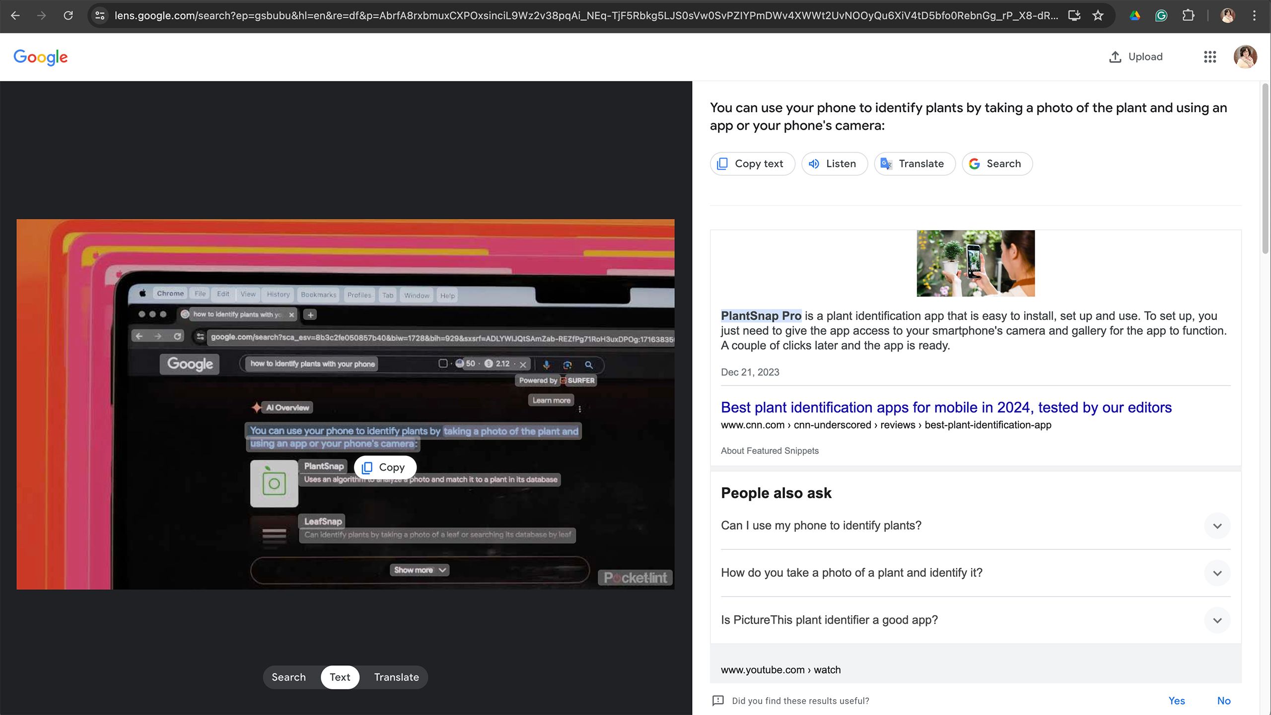 How to use Google Lens in Chrome to search any image