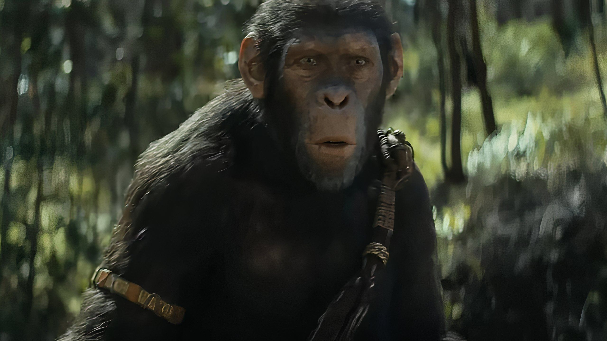 Caesar Planet Of The Apes 2 How To Watch The Planet Of The Apes Movies