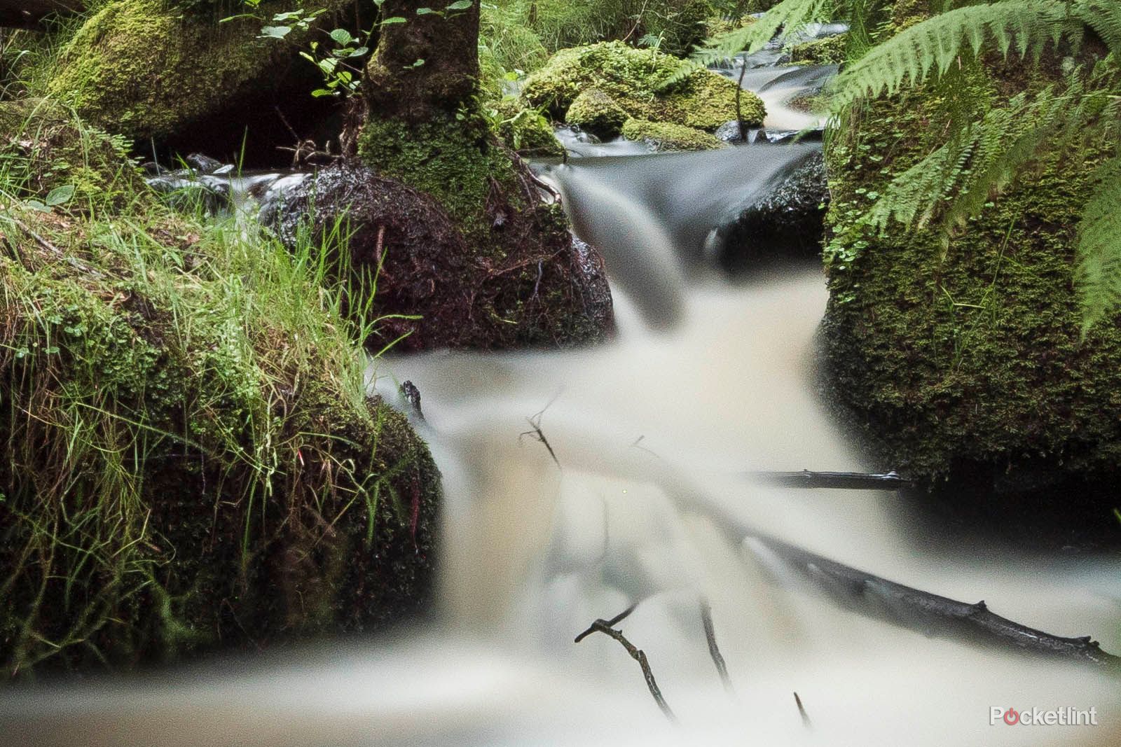 Nikon D7500 review: Better than the Canon 80D?