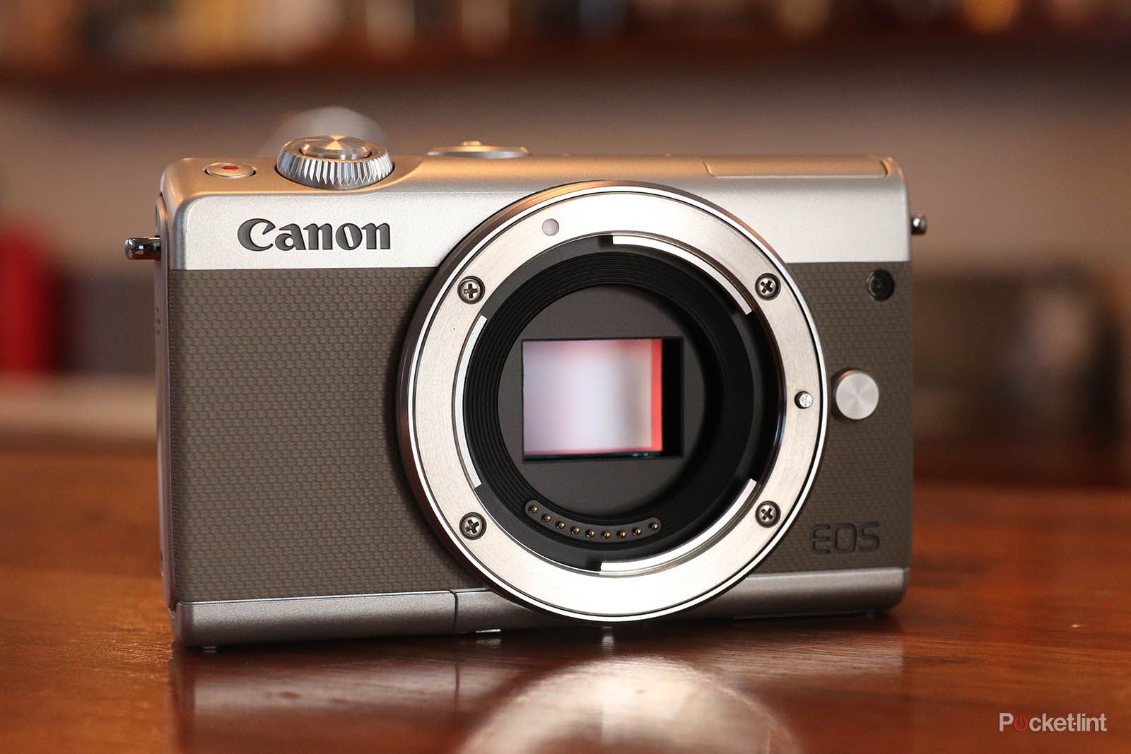 Canon EOS M100 review: Pocketable point-and-shoot makes mirrorless easy