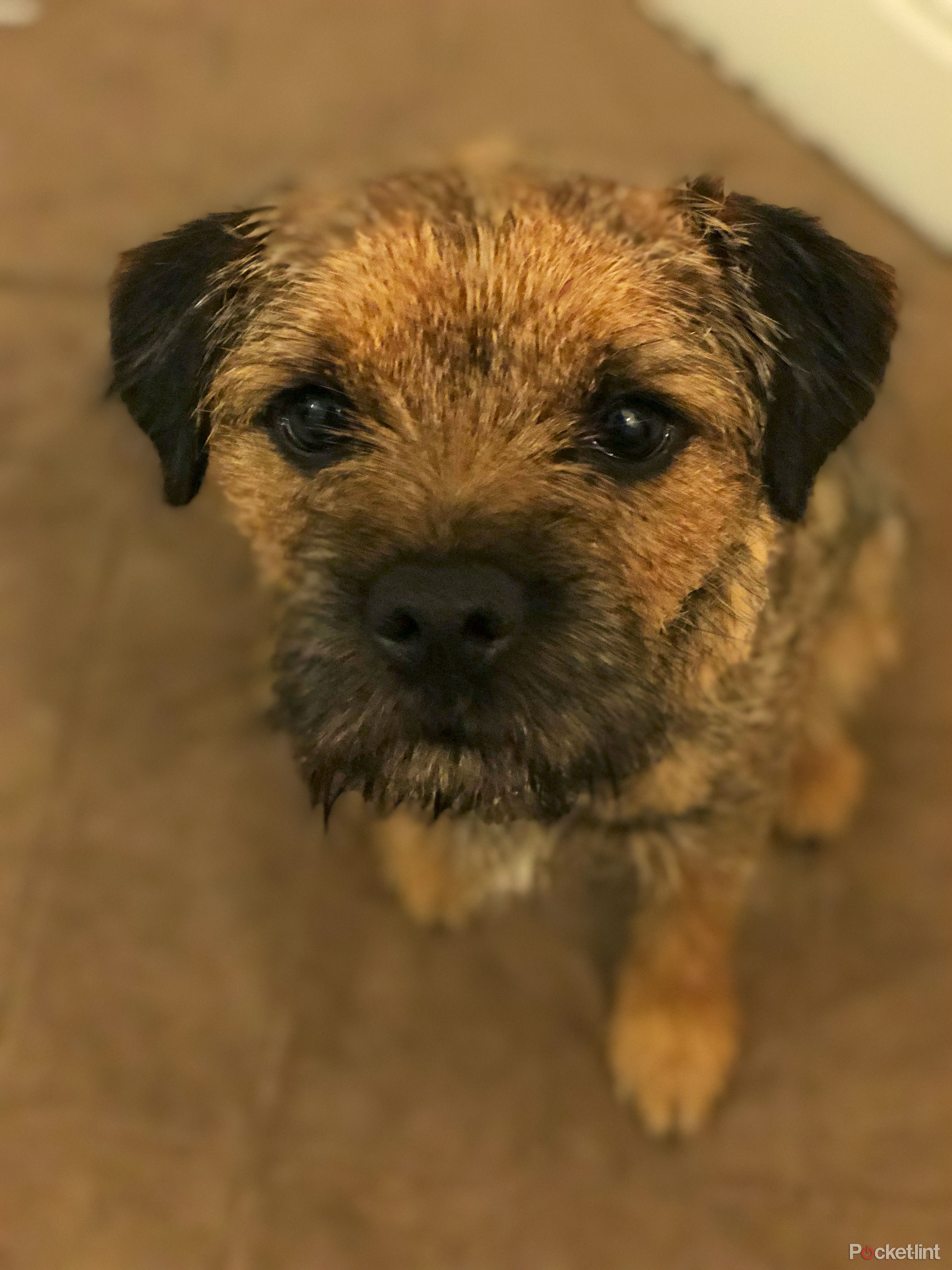 Apple iPhone X review: The first of a new generation