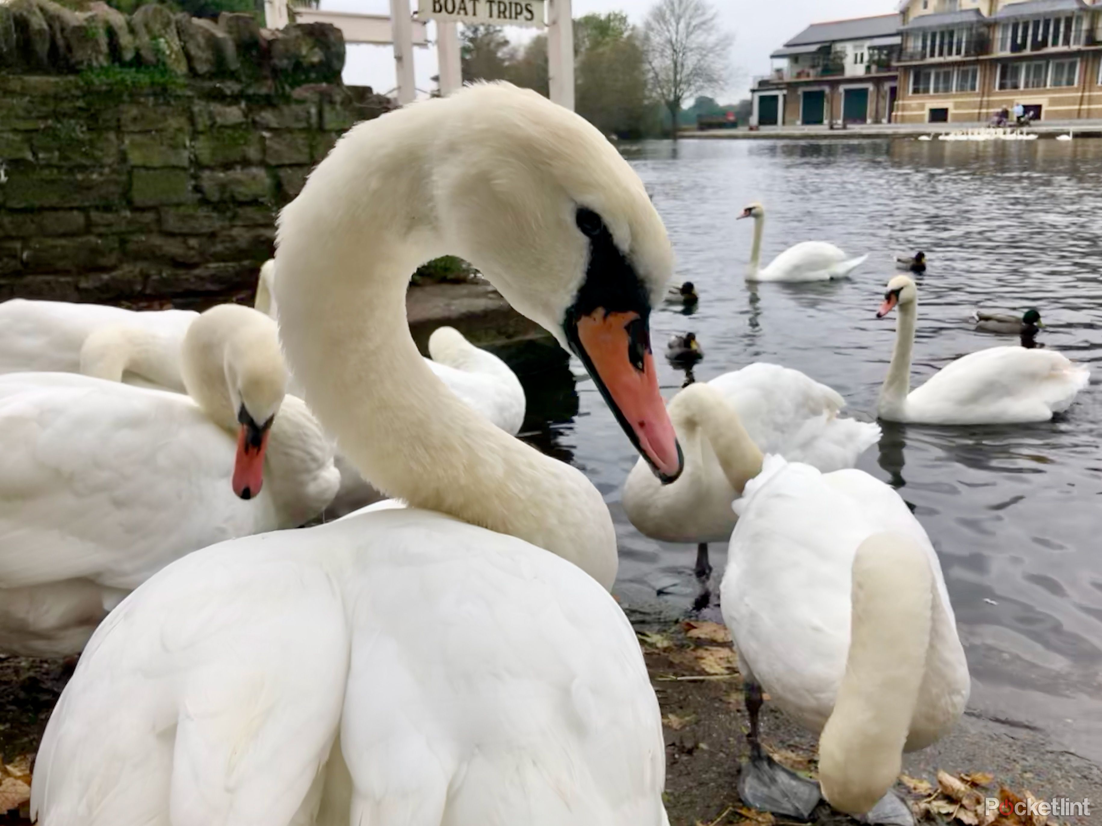 Apple iPhone 8 review: Still a powerful choice