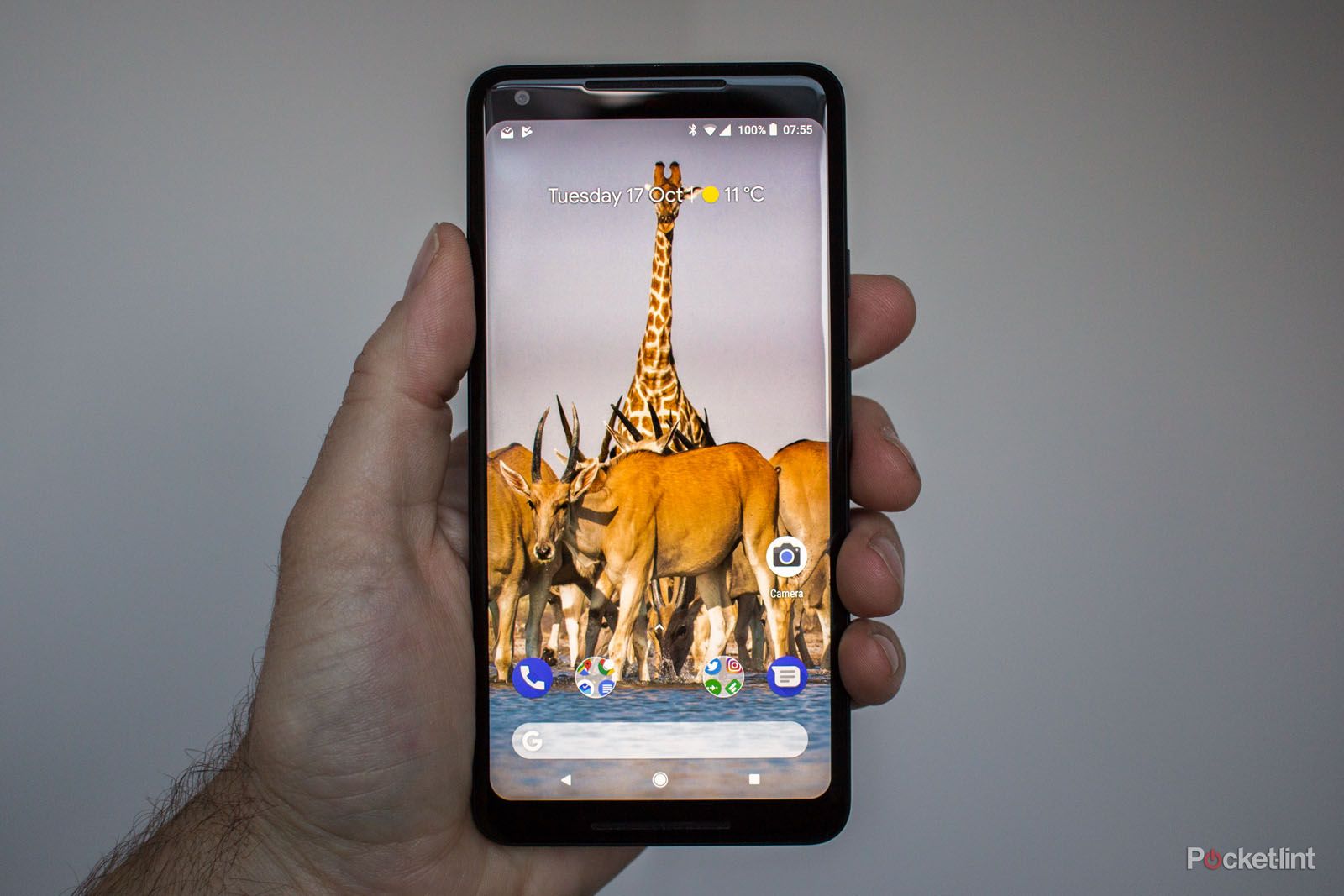 Google Pixel 3 XL might arrive in October with a dual camera notch