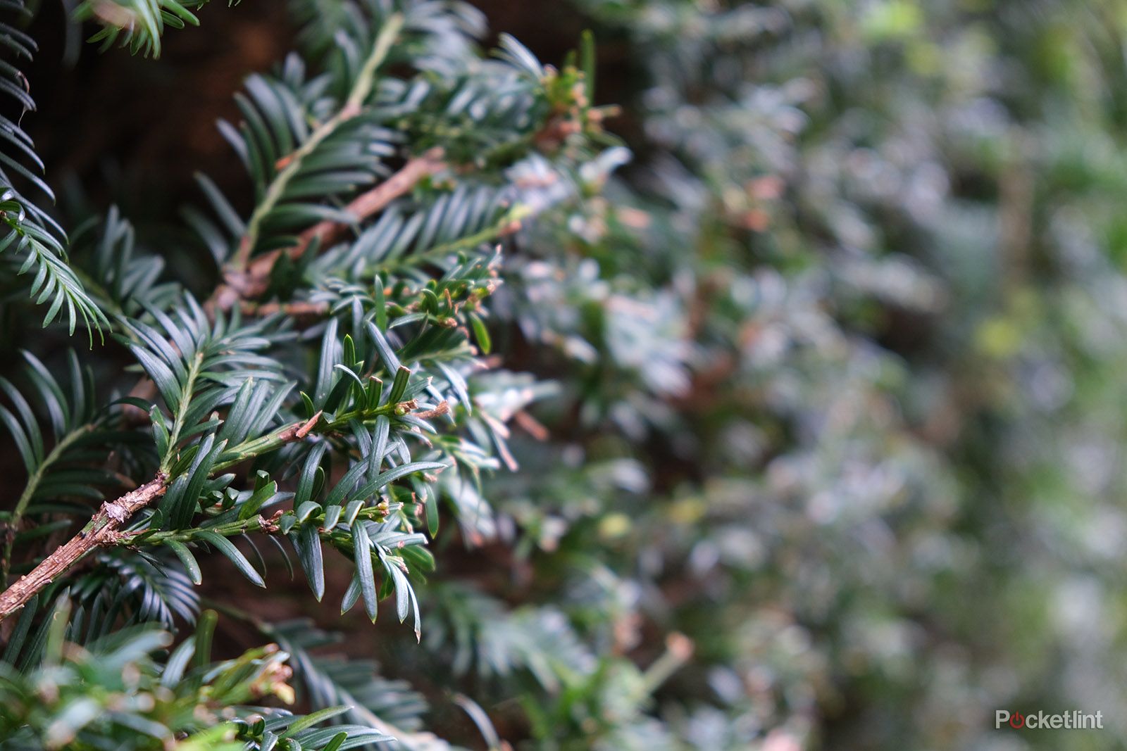 Fuji X-T3 review: Setting the standard for mirrorless