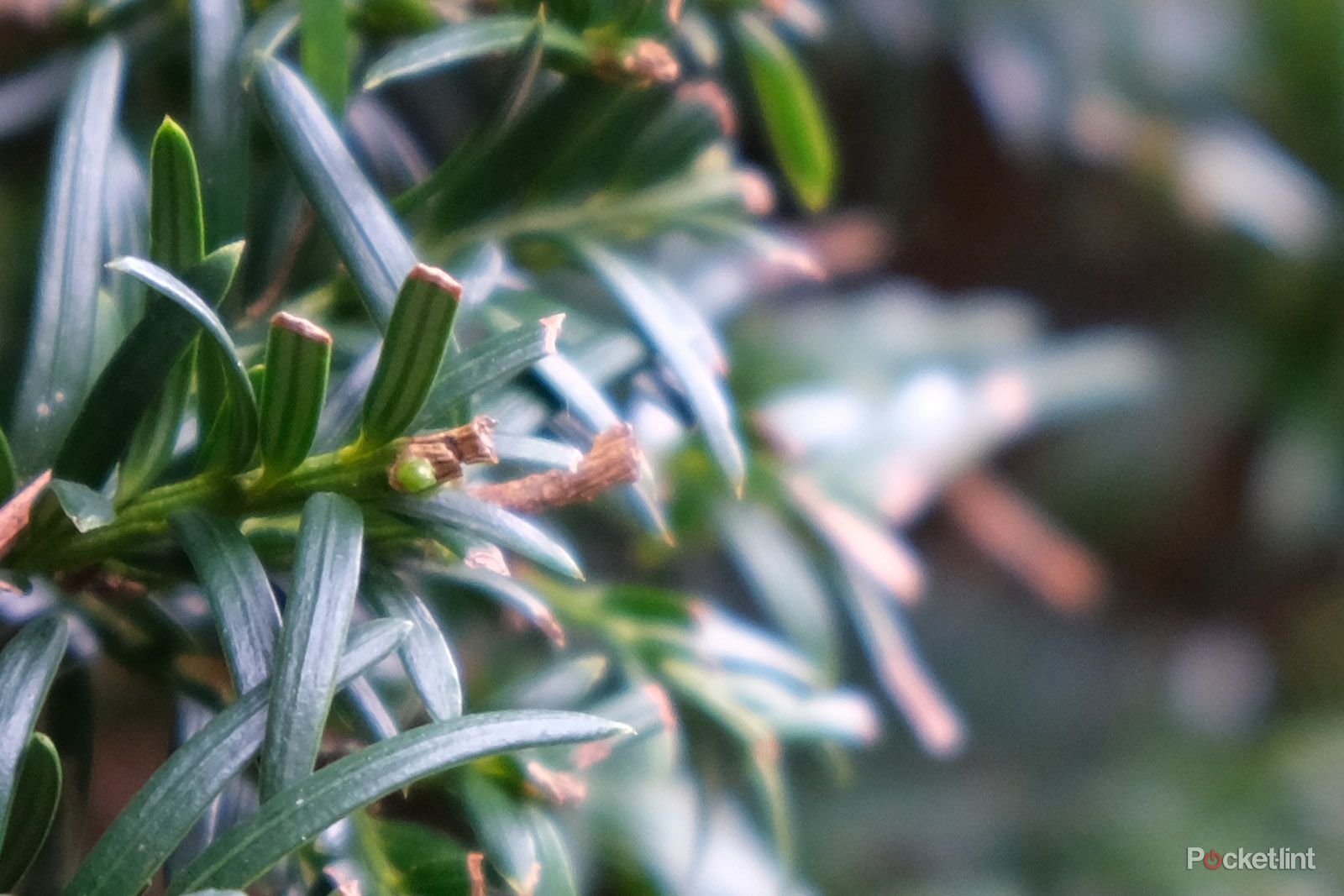 Fuji X-T3 review: Setting the standard for mirrorless