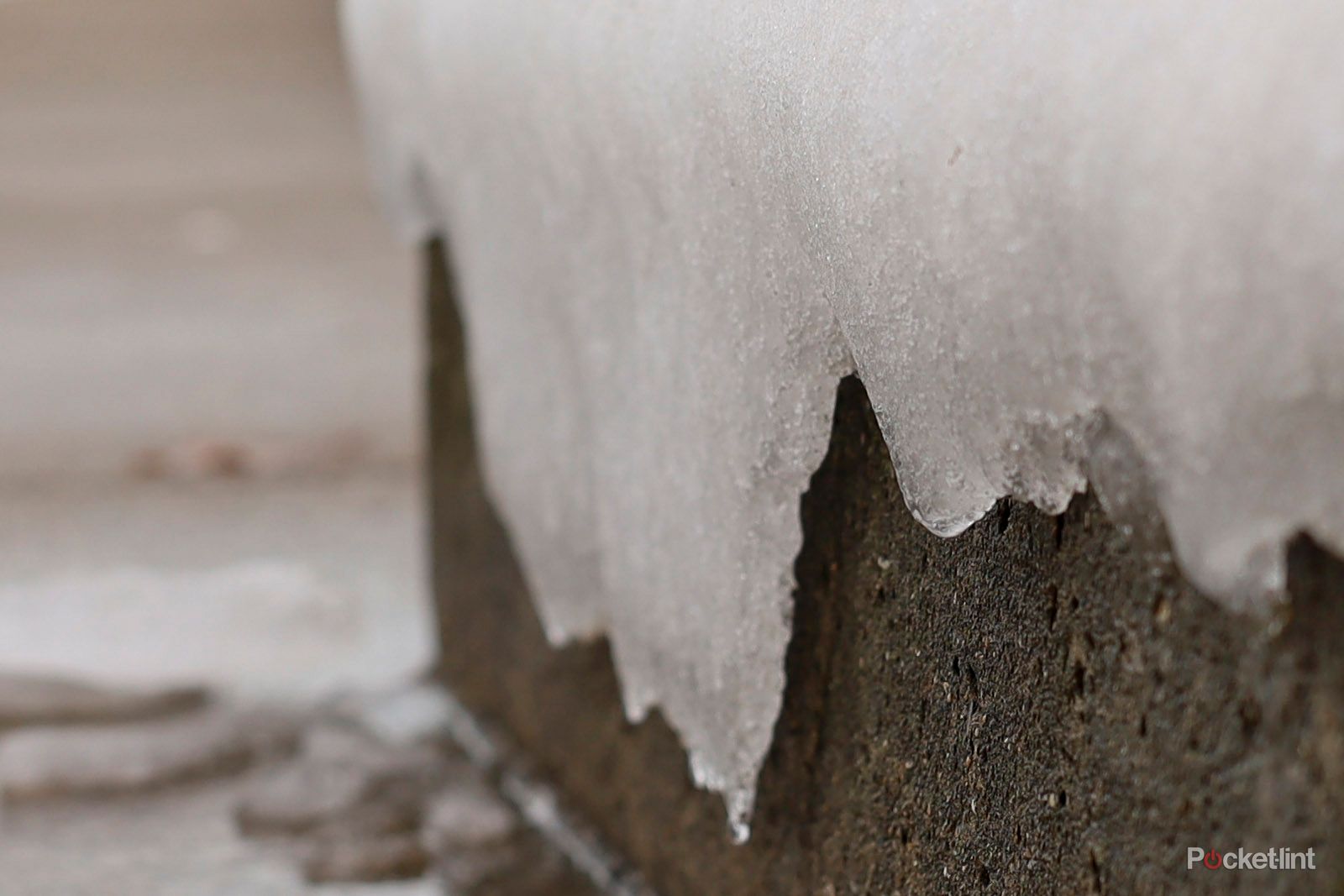 Canon EOS RP review: Savvy or overly safe?