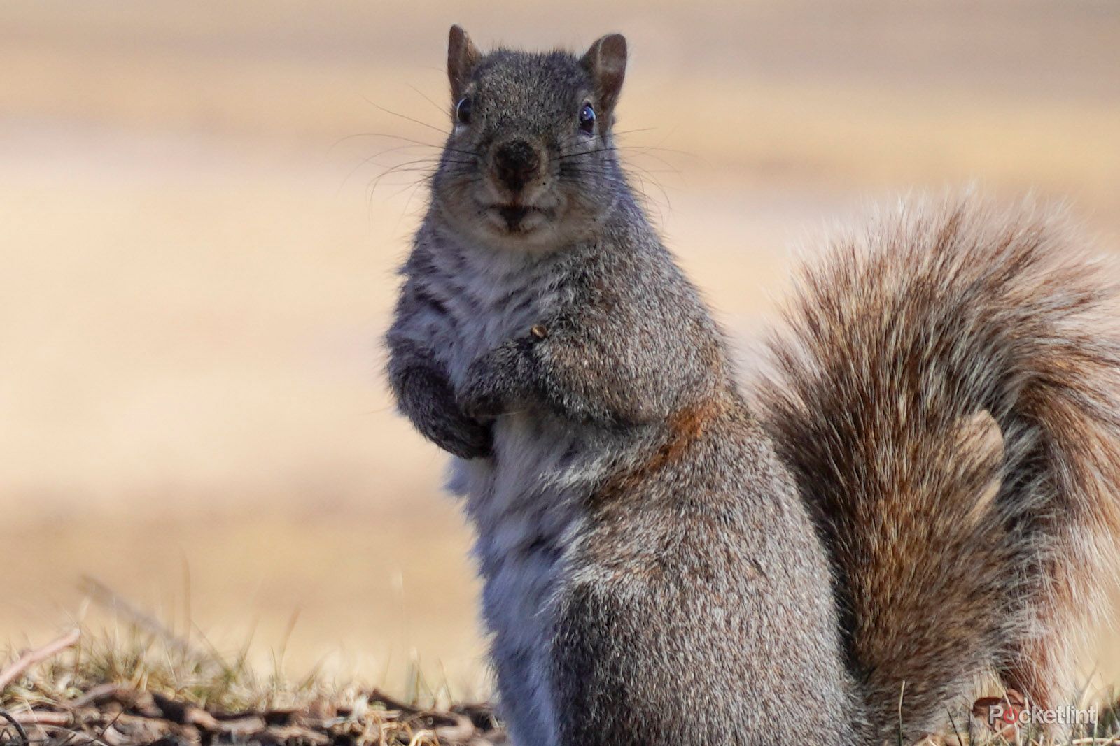 Sony A6400 review: A star of track and field