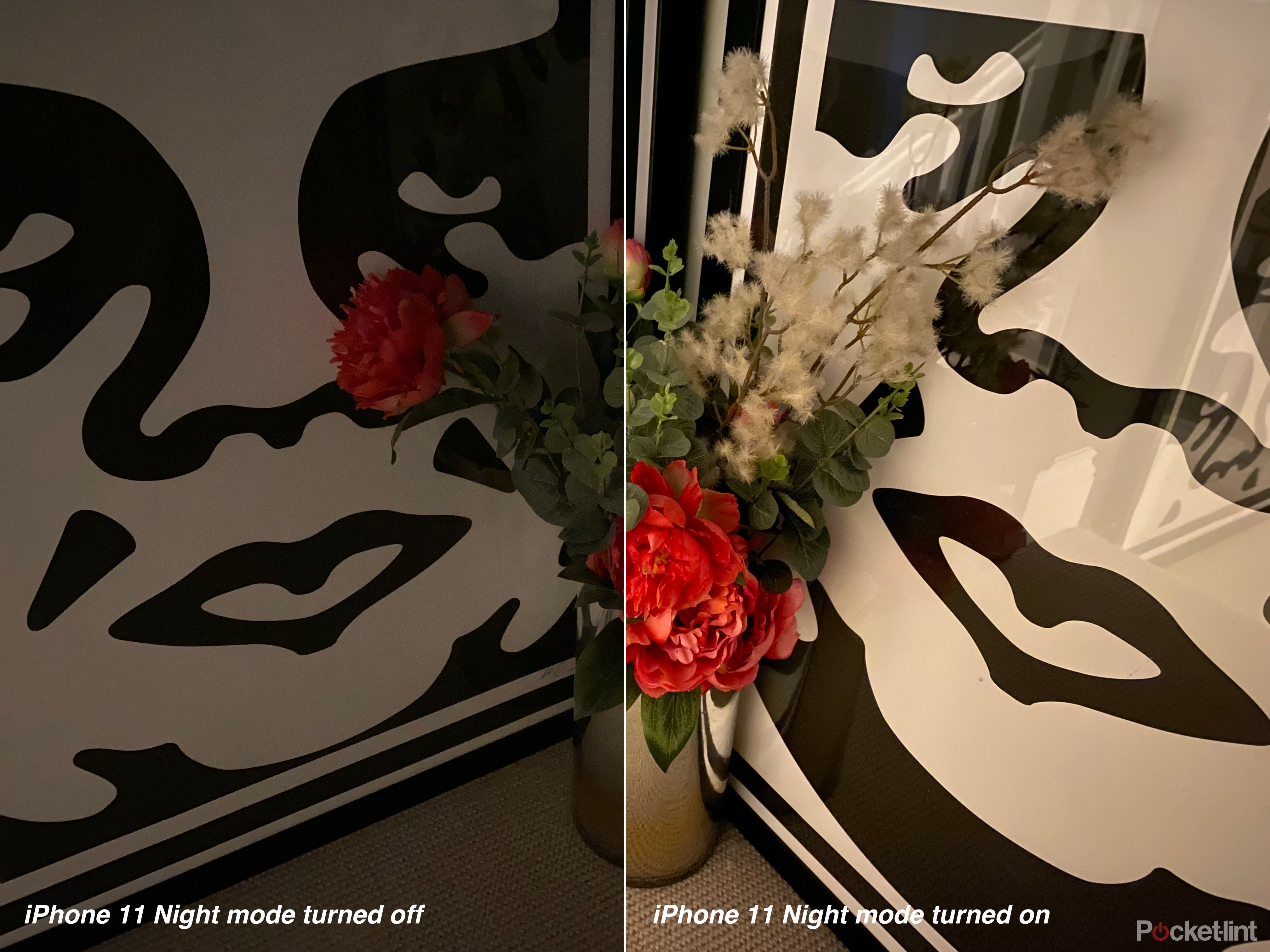 Apple iPhone 11 review: Still an iPhone for everyone?