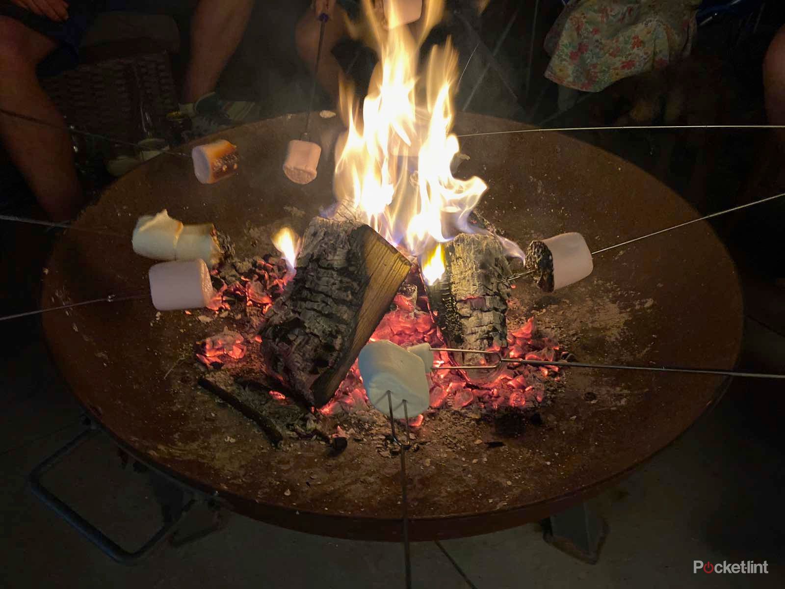 iPhone 11 Pro review: The pick of the bunch