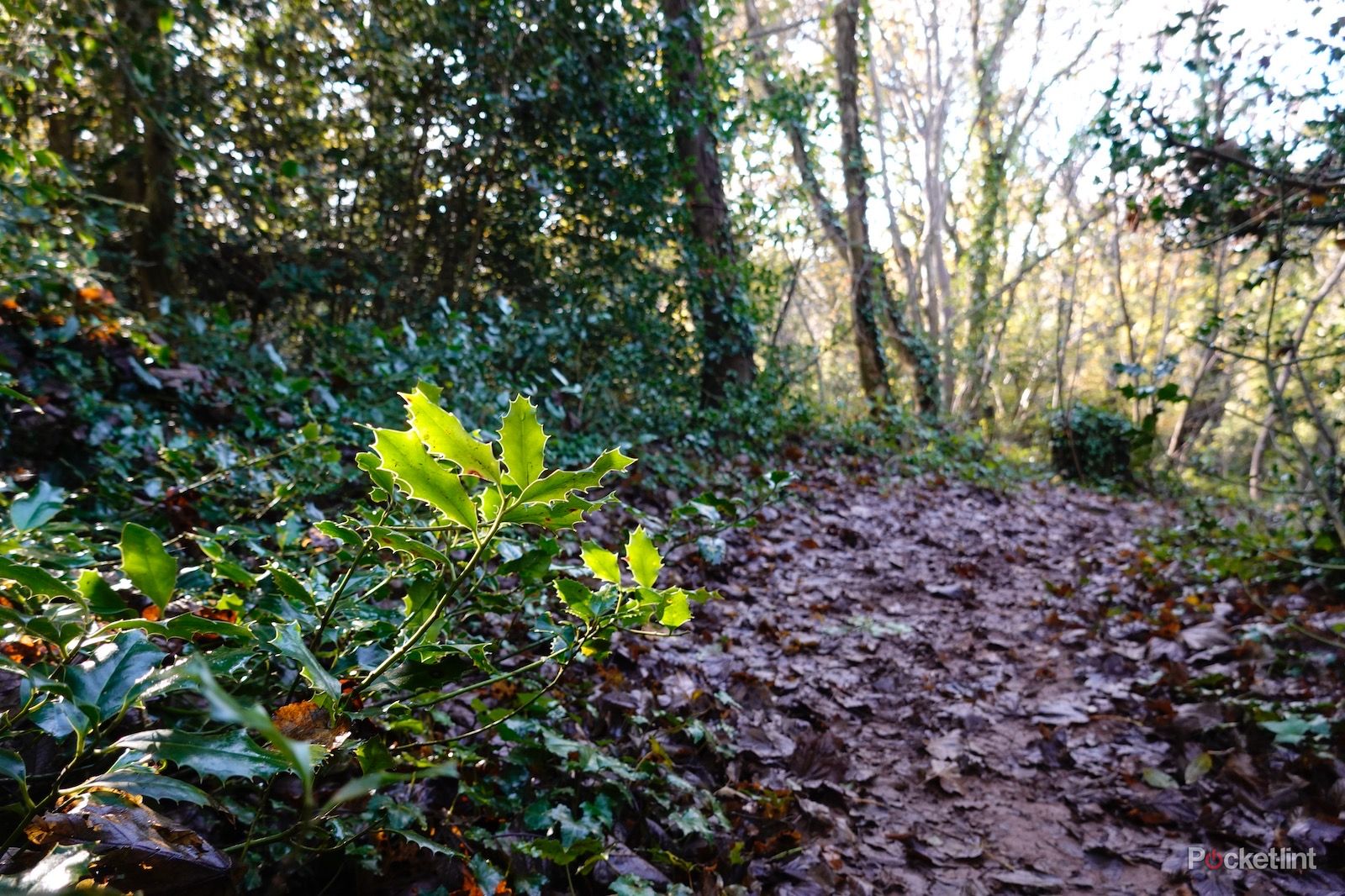 Sony RX100 M7 review - Pocket-lint