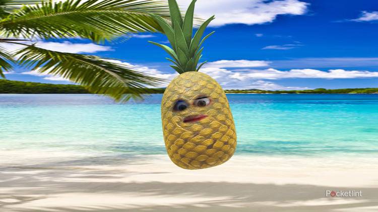 How to turn yourself into a potato or a cat (and other things) for Zoom ...