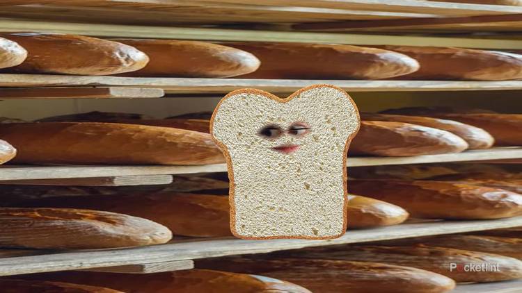 How to turn yourself into a potato or a cat (and other things) for Zoom ...