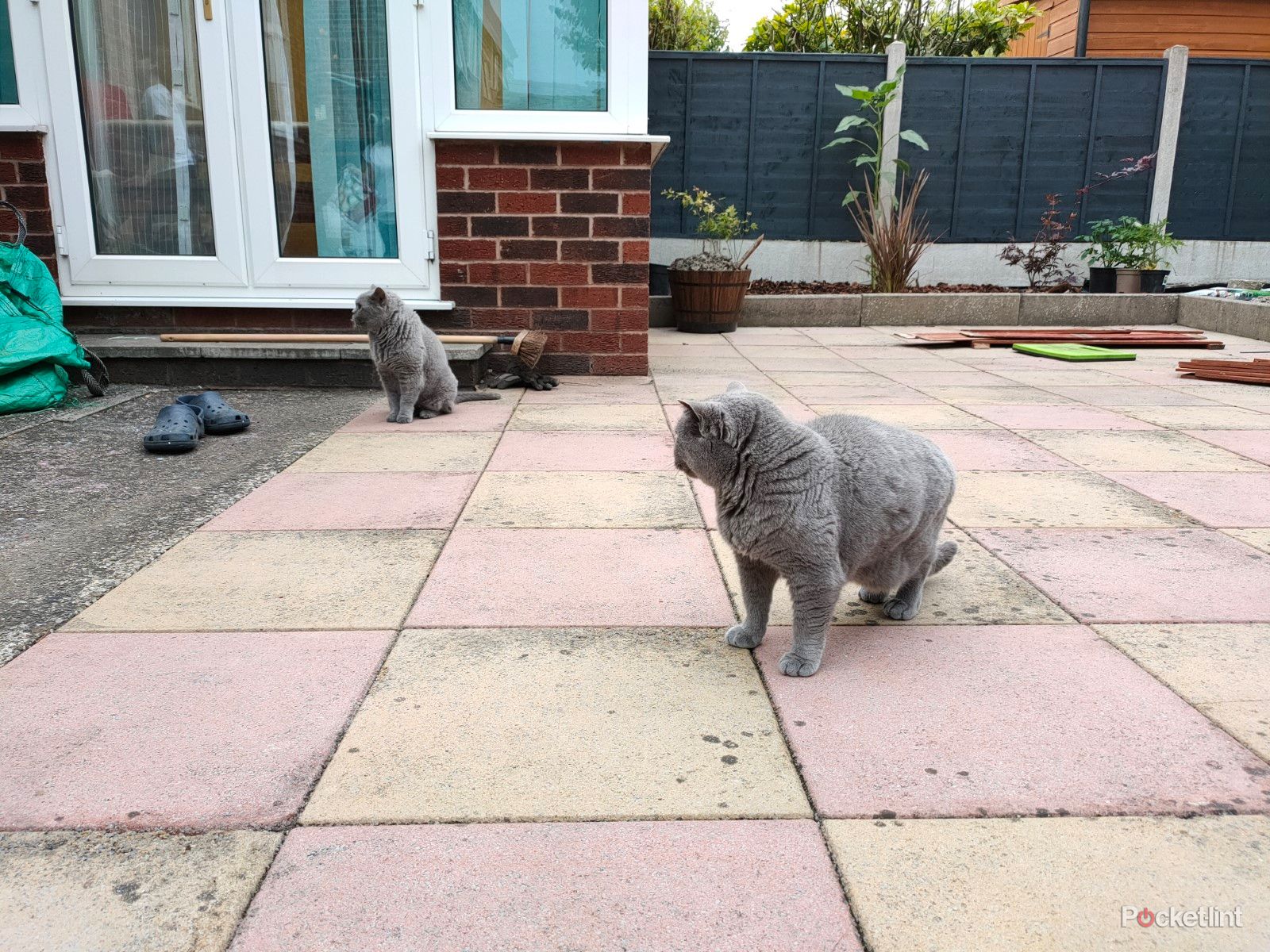 Oppo Find X2 Neo review - Pocket-lint