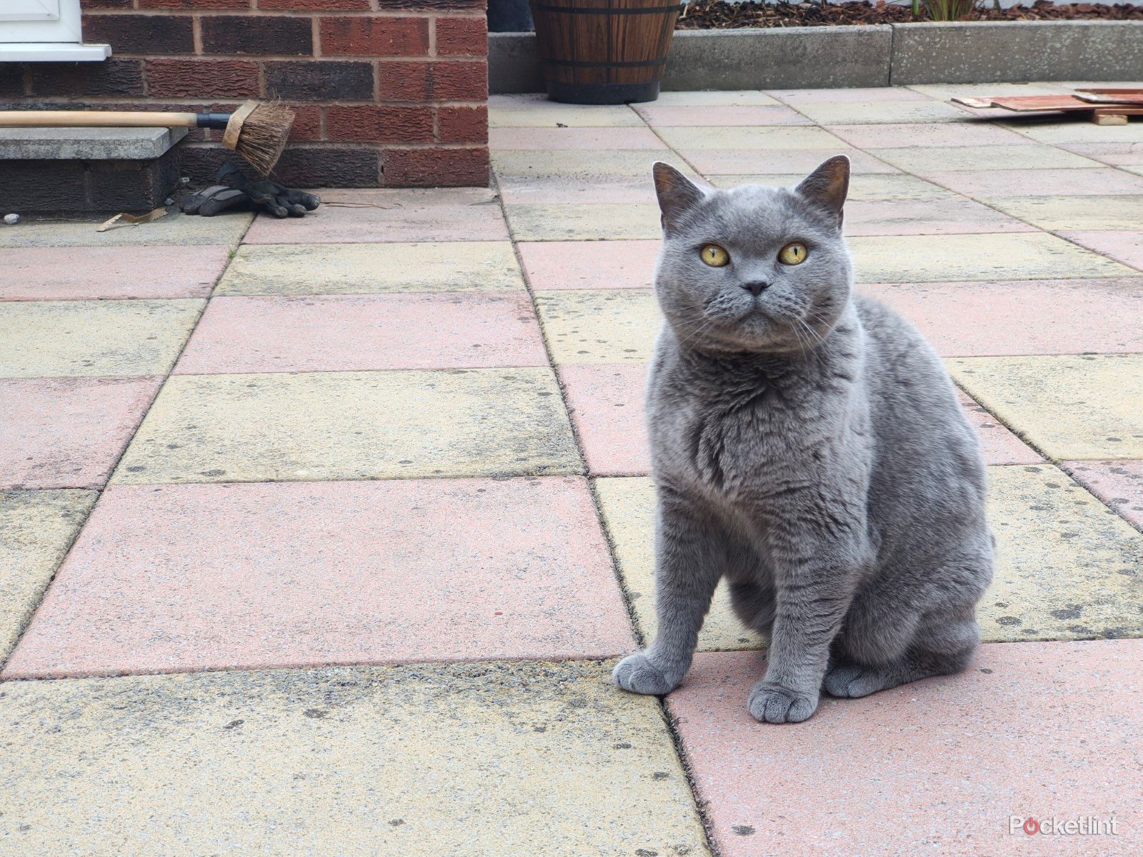 Oppo Find X2 Neo review - Pocket-lint