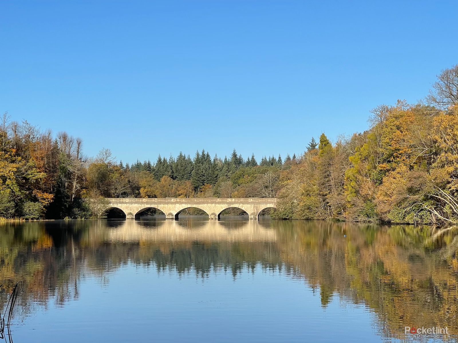 iPhone 12 Pro Max review: Ready for your close-up