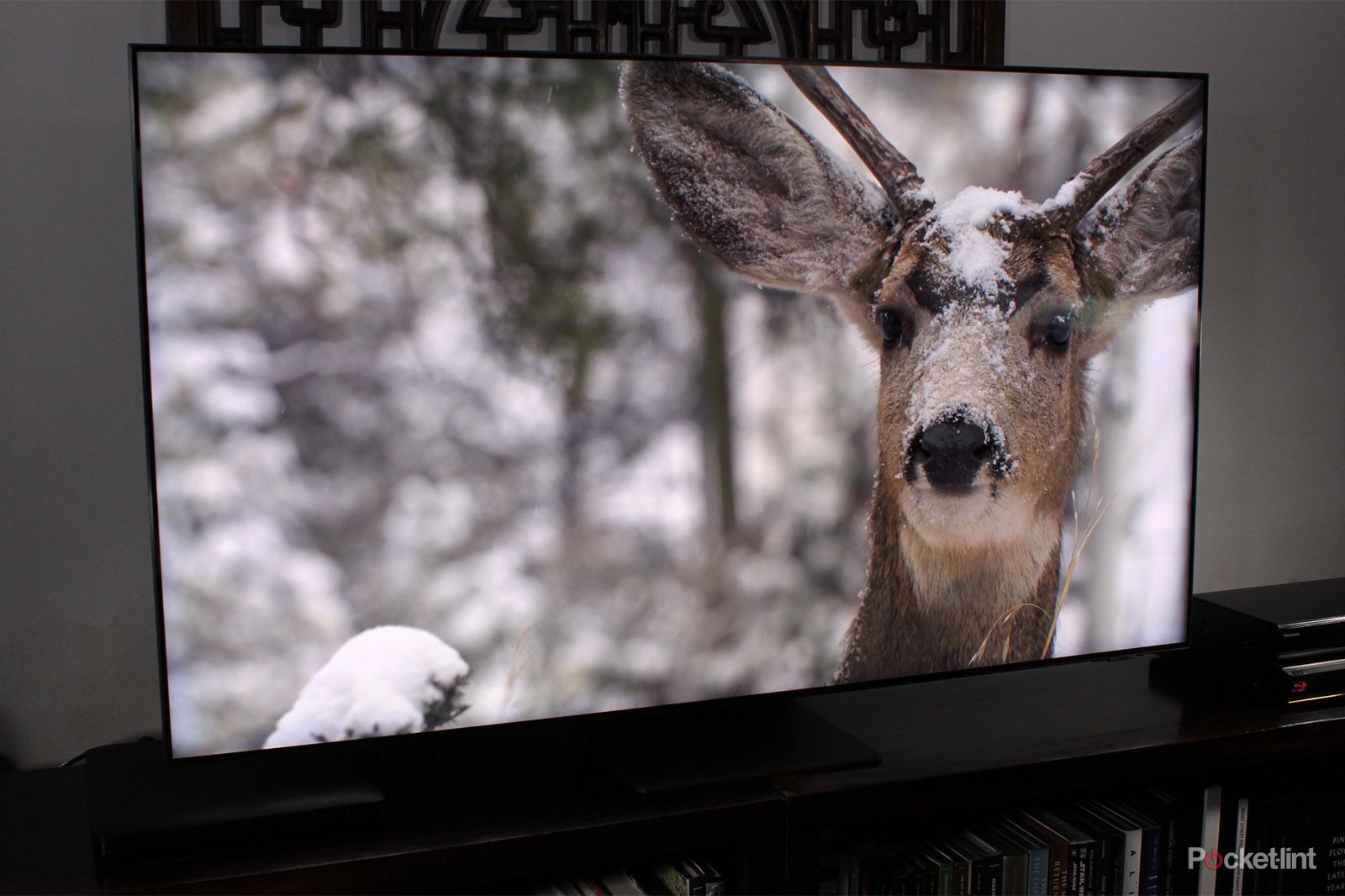 Samsung QN95A review (55QN95A, 65QN95A, 75QN95A)