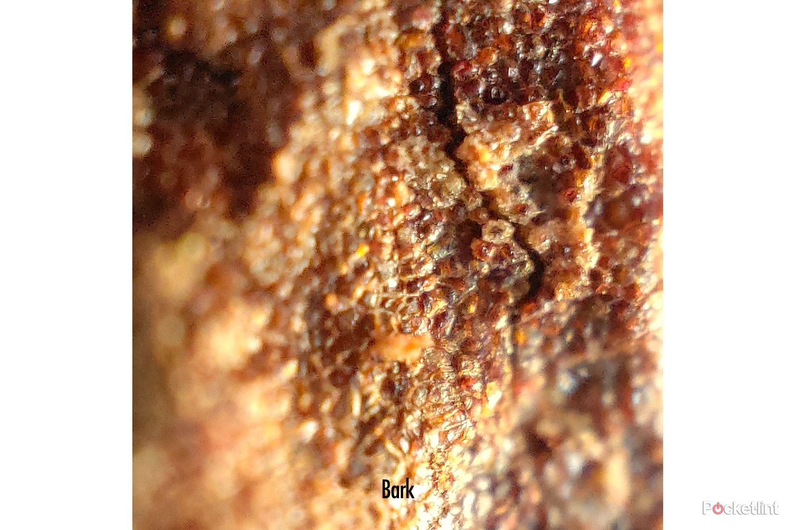 Oppo Find X3 Pro review: Stunning in nearly every way