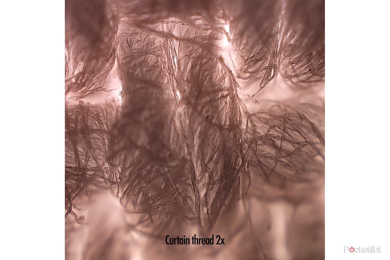 Oppo Find X3 Pro review: Stunning in nearly every way