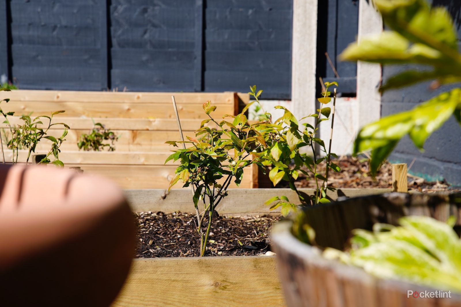 Sony A1 review: One camera to rule them all