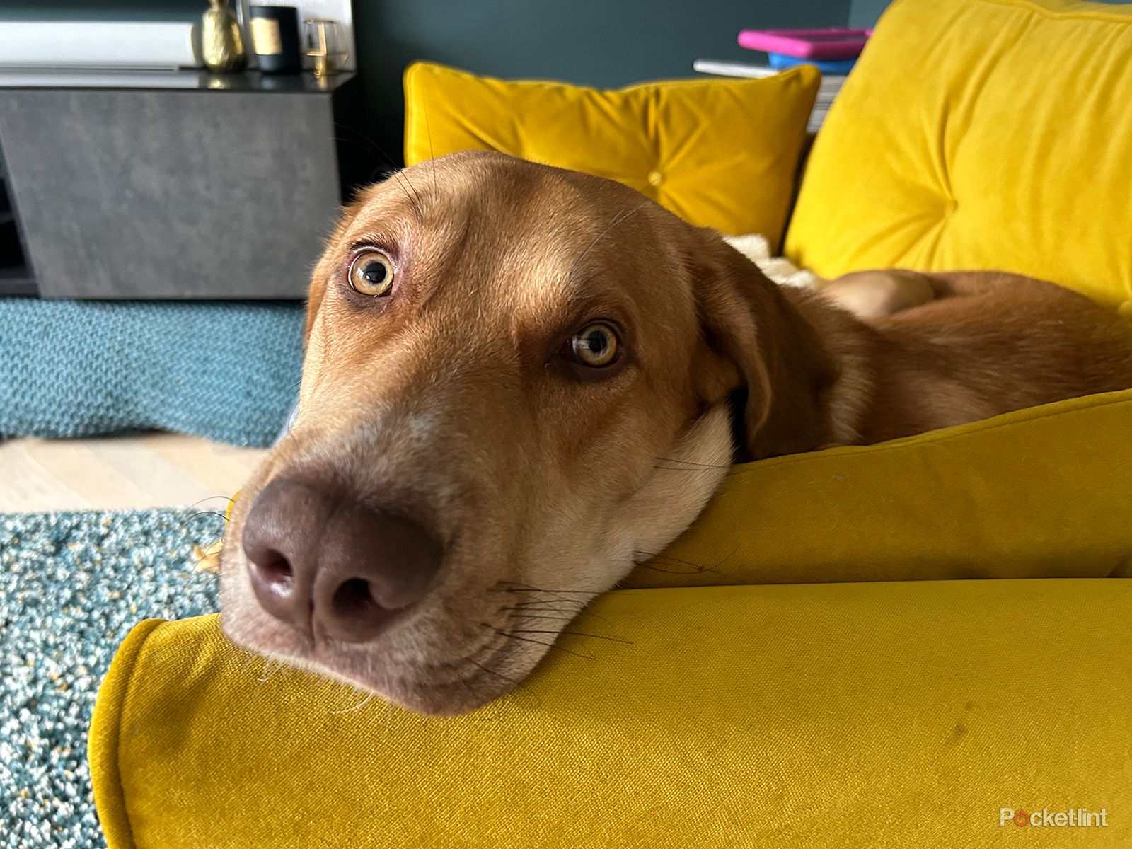 Apple iPhone 14 Plus review: Is bigger better?