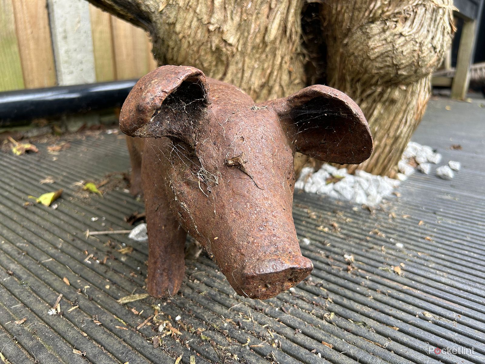 Apple iPhone 14 Plus review: Is bigger better?