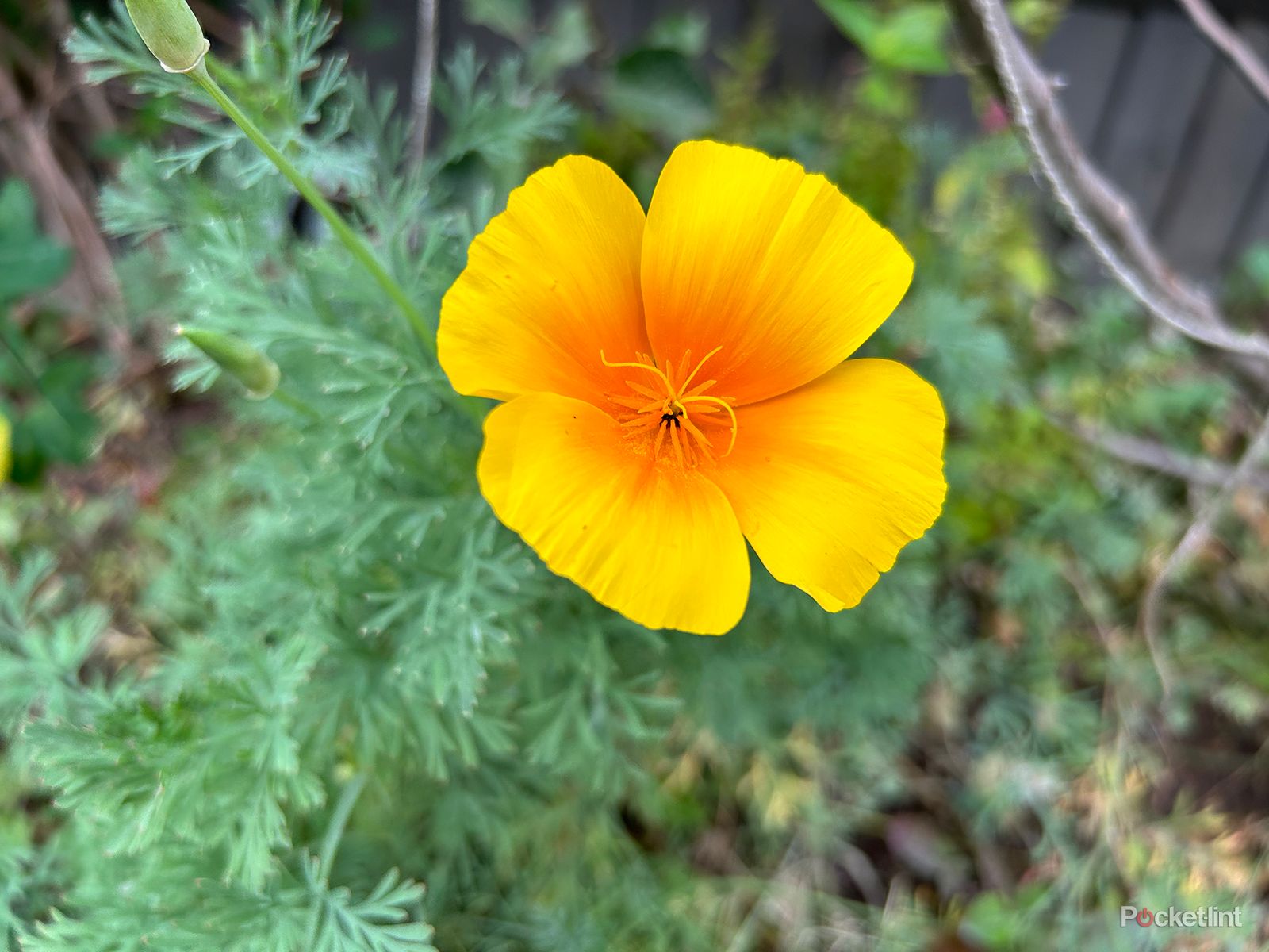 Apple iPhone 14 Plus review: Is bigger better?