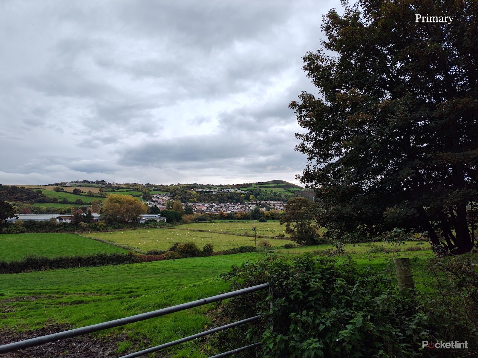 Moto Razr (2022) review: Flexible champ