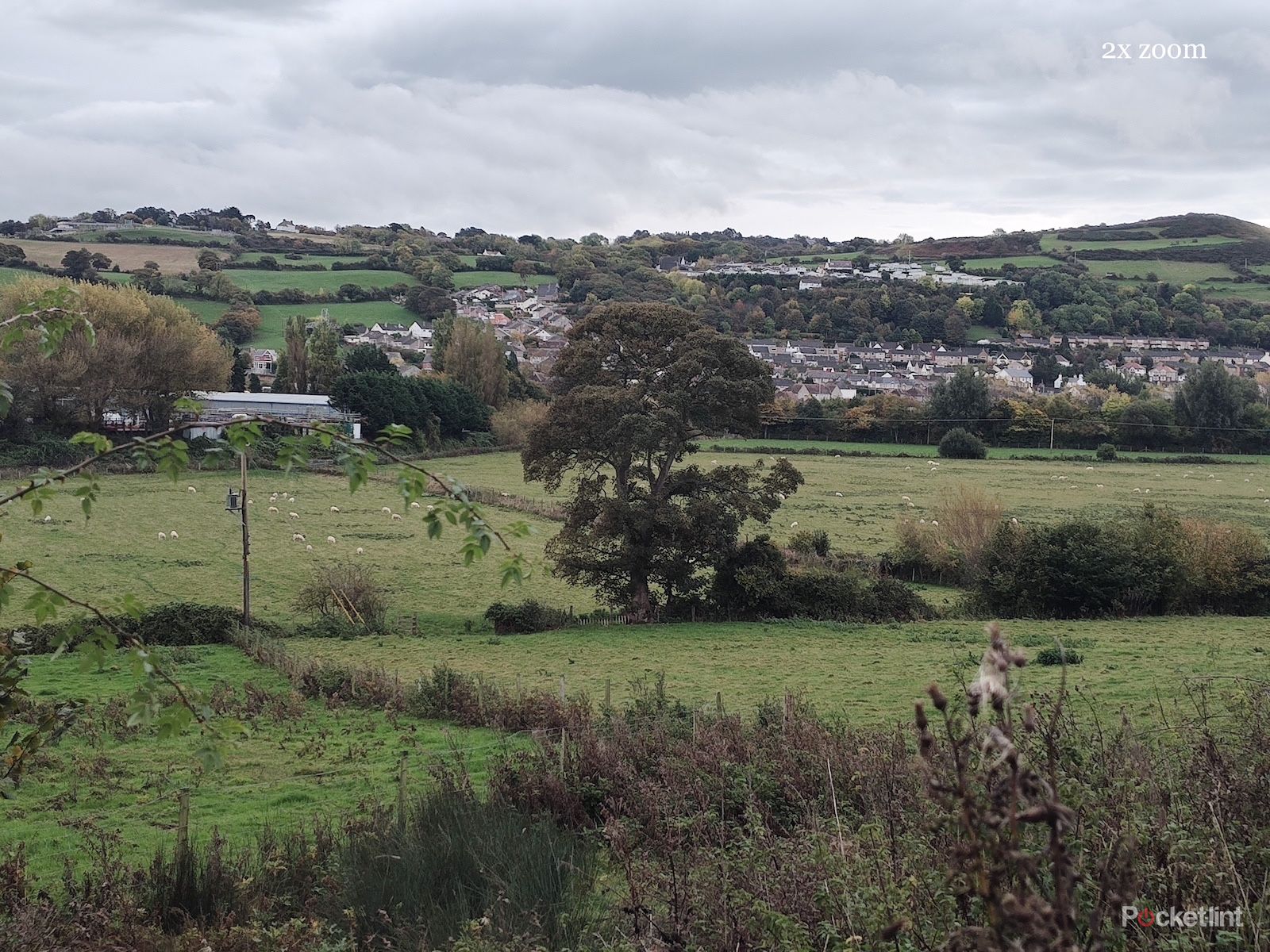 Moto Razr (2022) review: Flexible champ