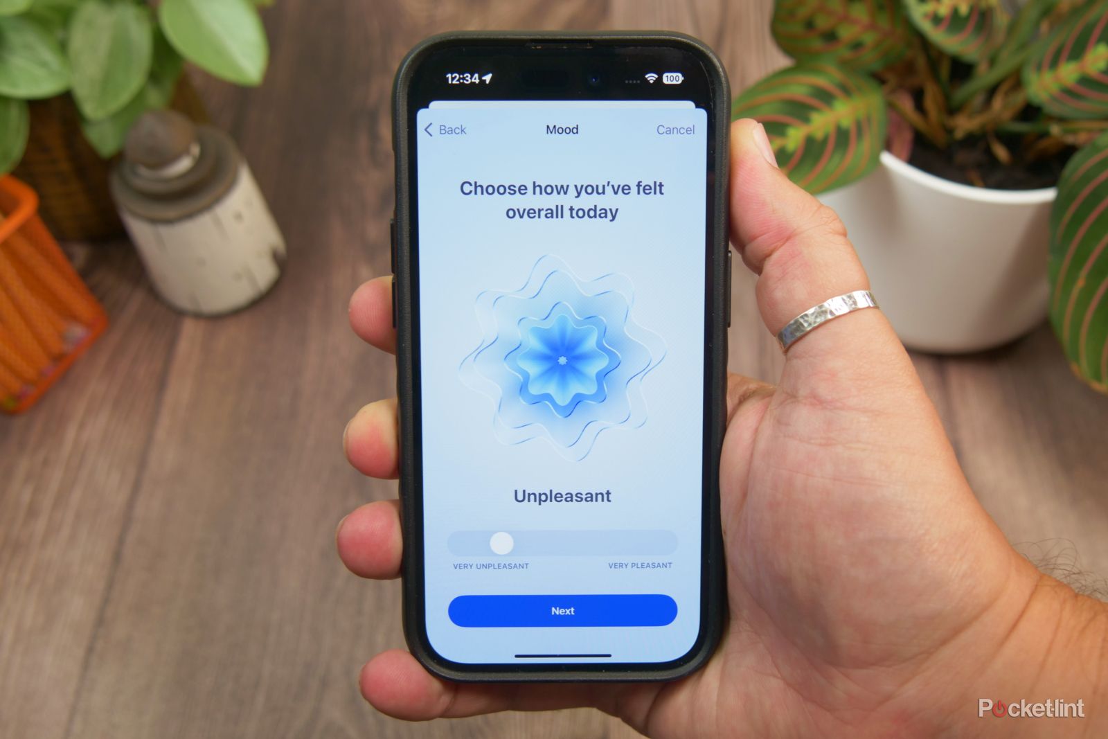 How to log moods and take a mental health assessment in Apple Health ...