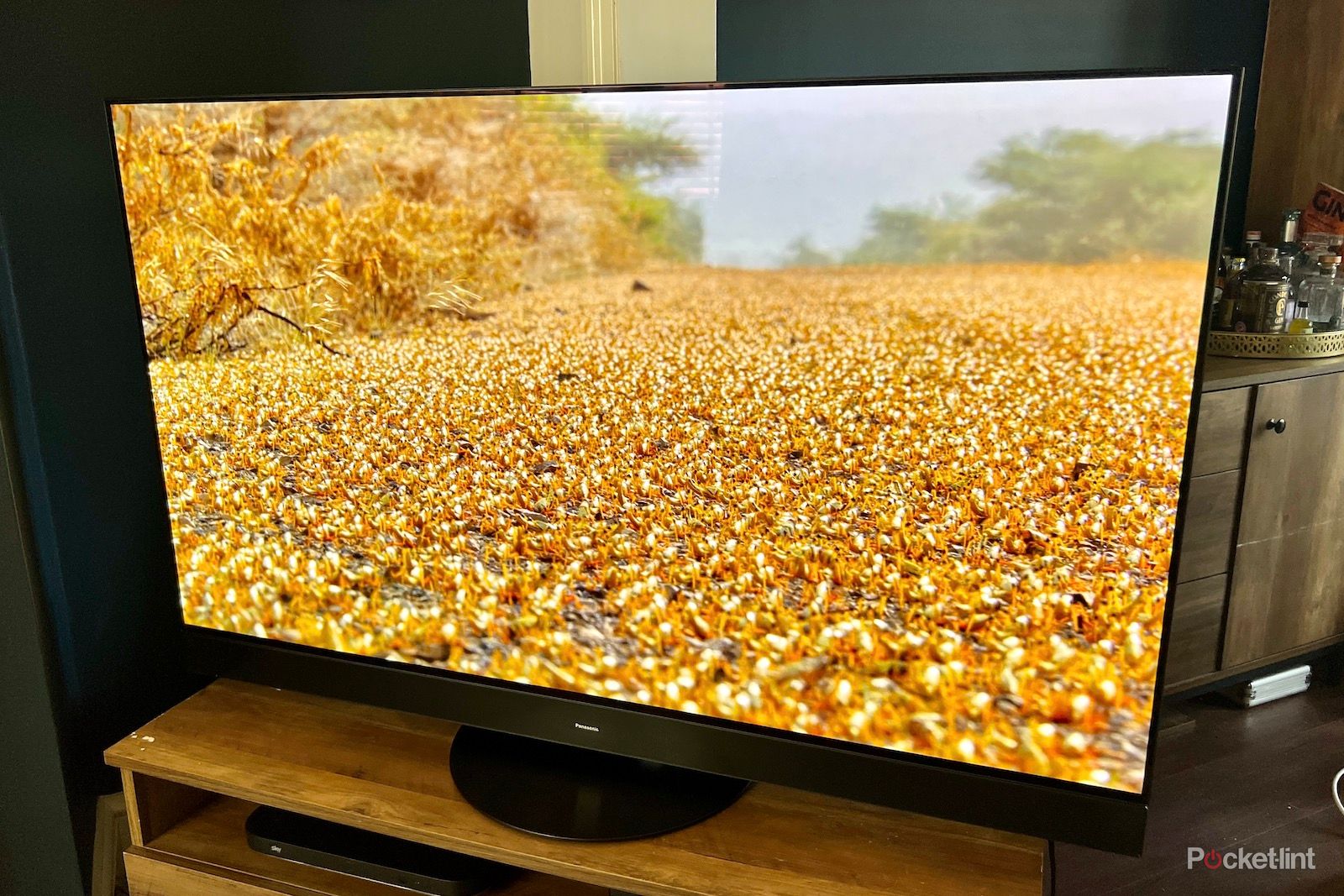 The Panasonic MZ2000 is the ultimate home cinema package