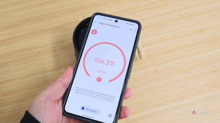 Google Pixel 8 Pro: How to check your body temperature