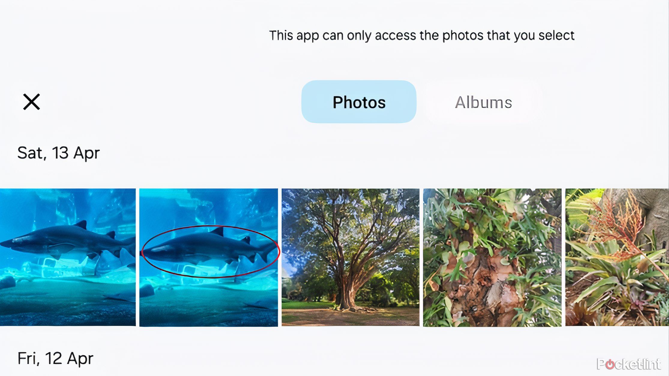 How I create and use Photomoji to make Google Messages fun How I create and use Photomoji to make Google Messages fun