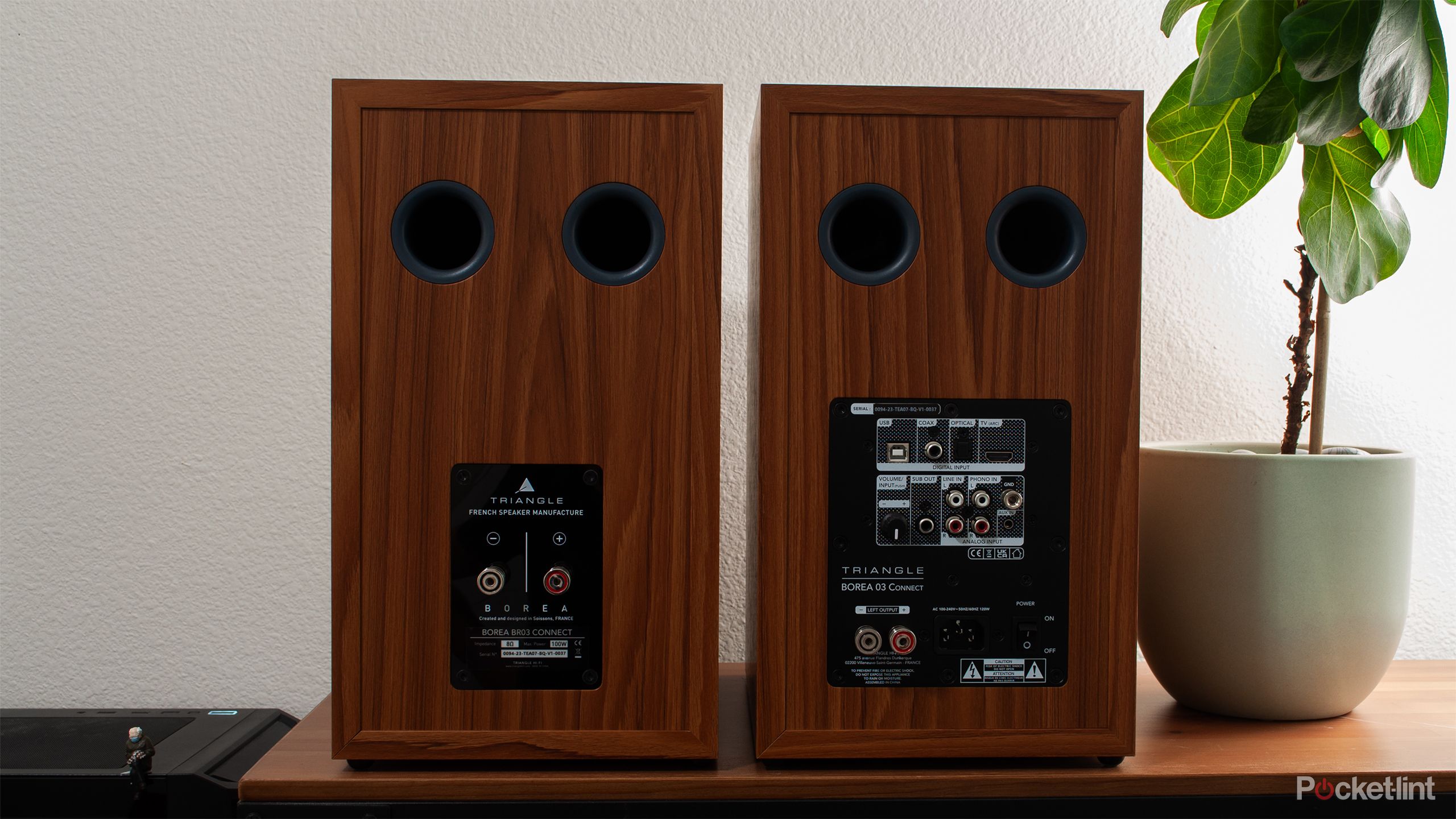 Triangle Borea BR03 Connect speaker review: Power without the price