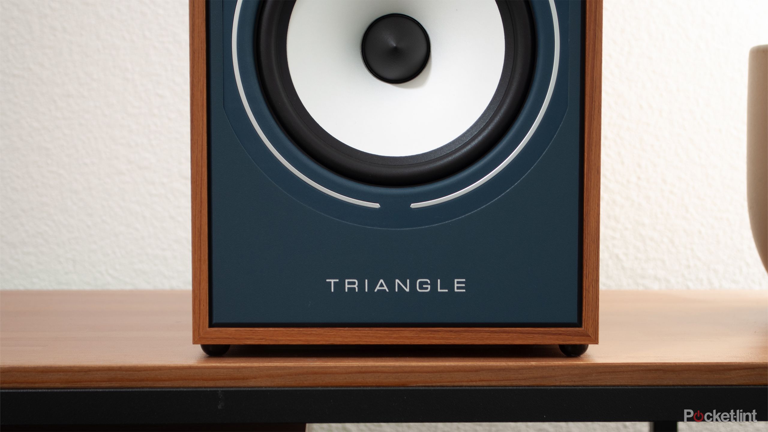 Triangle Borea BR03 Connect speaker review: Power without the price