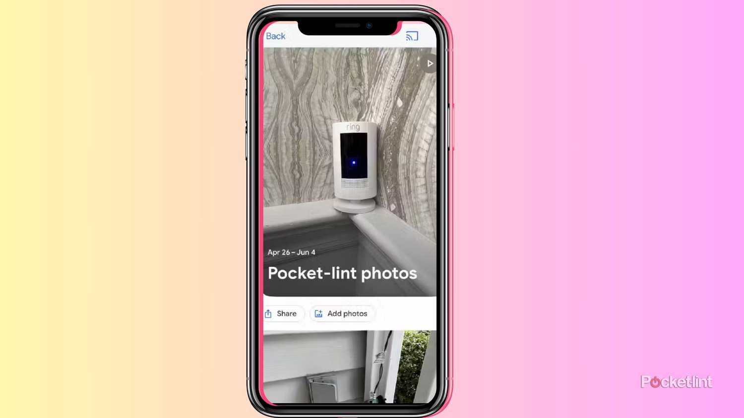 How to organize a Google Photos library