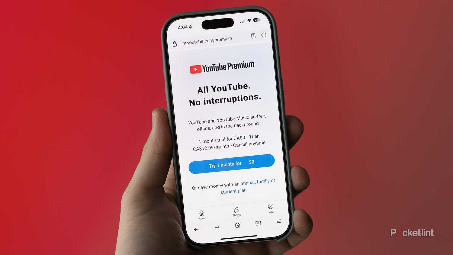 I switched over to YouTube's Premium Family Plan and never looked back